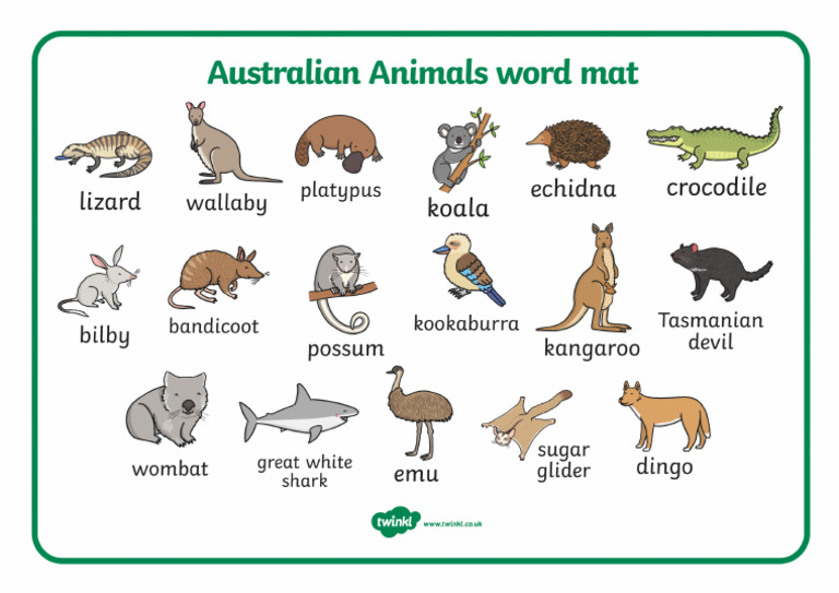 Australian Animals Word Mat | PDF