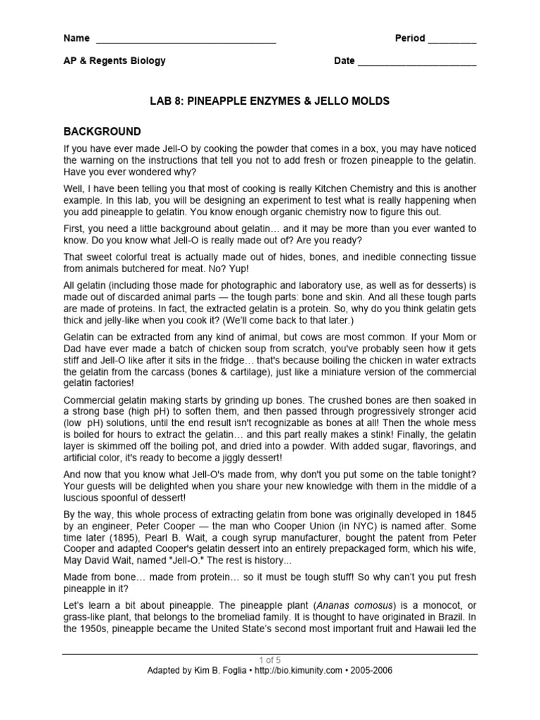 Lab 08 Pineapple Enzymes 2005 | PDF | Gelatin | Experiment
