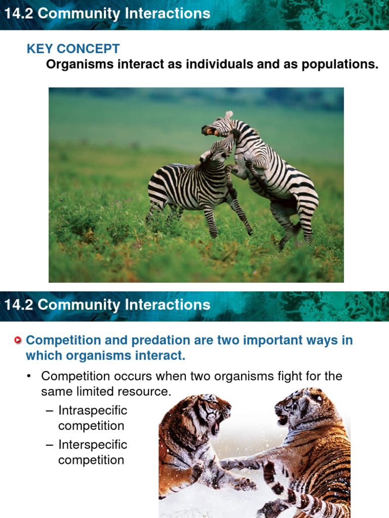 14.2 Community Interactions Book | PDF | Parasitism | Symbiosis
