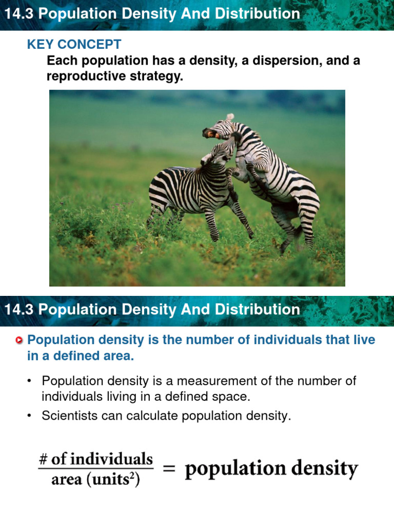 Understanding Population Density and Dispersion | PDF
