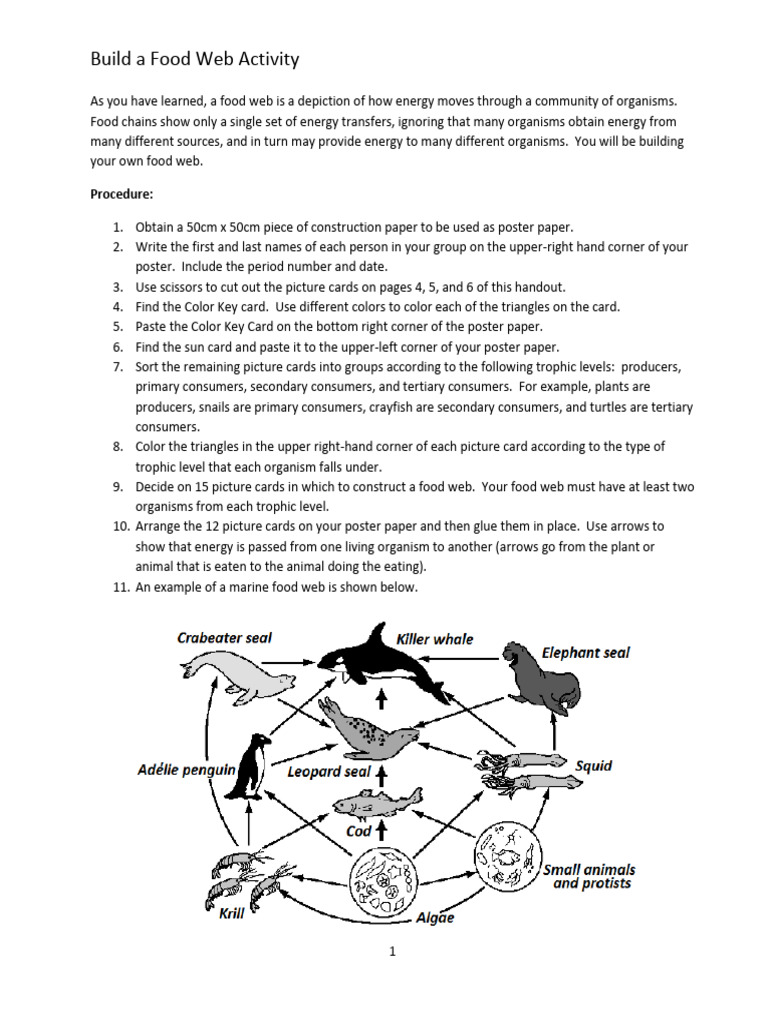 Build A Food Web Activity | PDF | Food Web | Foods