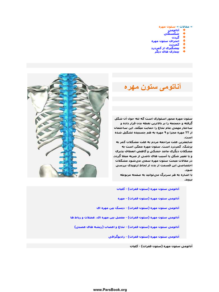 Spine | PDF