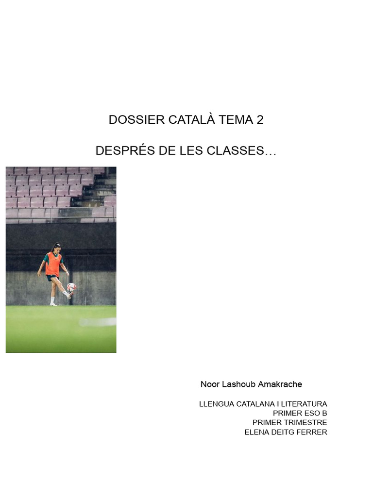 Noor Lashoub Amakrache - DOSSIER TEMA 2 | PDF