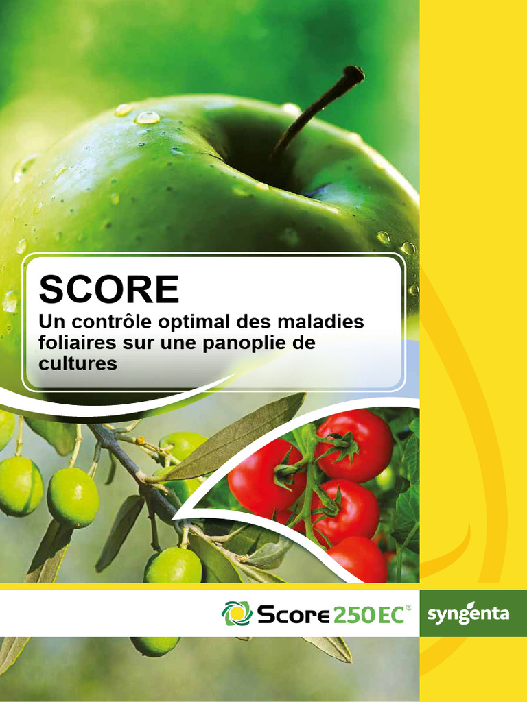 Score 250 Ec-Fiche Technique 9811 | PDF | Fongicide | Plantes