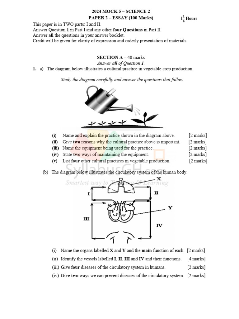 2024 Mock 5 Science 2 | PDF | Calcium | Chemical Substances