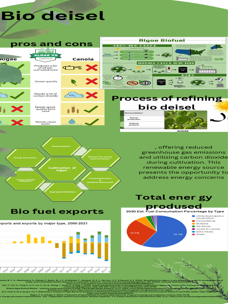 Bio Deisel Infographic | PDF | Biofuel | Algae Fuel