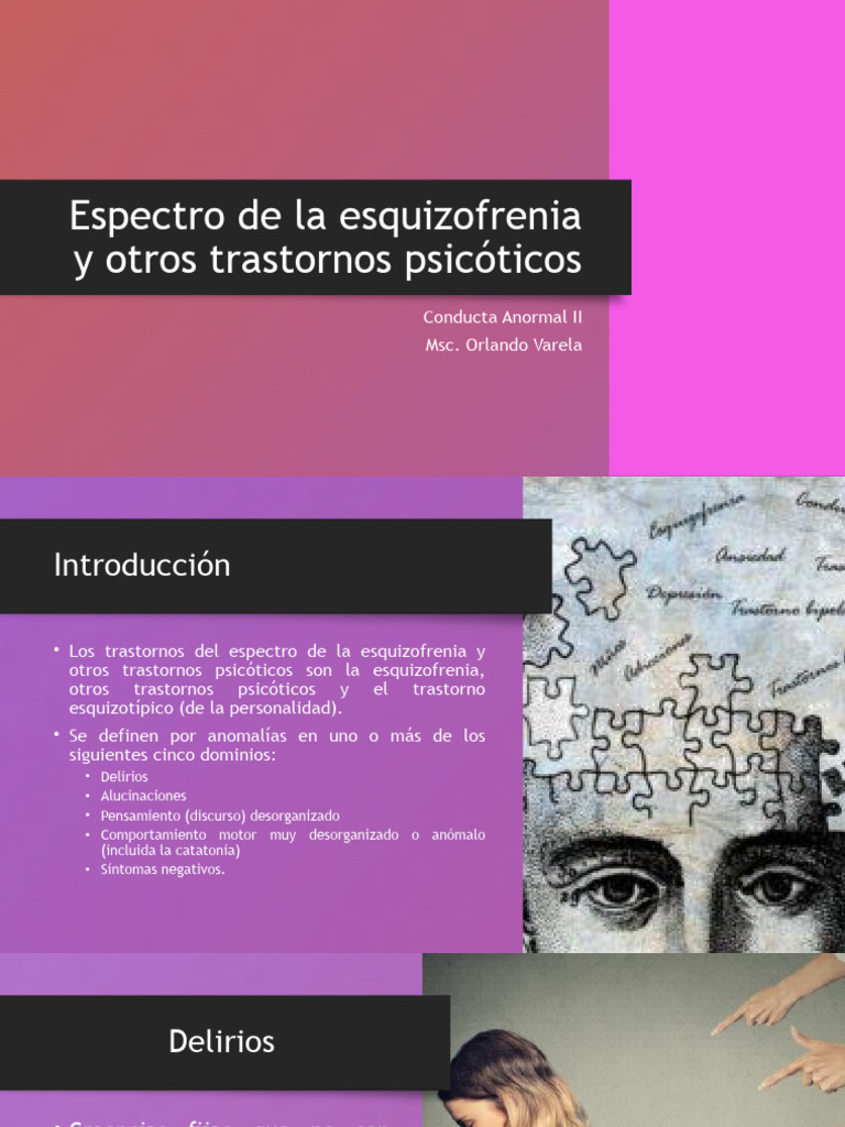 Espectro de La Esquizofrenia y Otros Trastornos Psicóticos | PDF ...