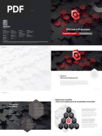 Fortinet Engage Partner Program FAQ - Spanish | PDF