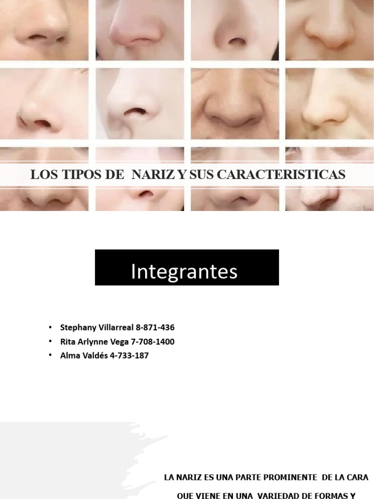Tipos de Nariz y sus Características | PDF | Estilo de vida