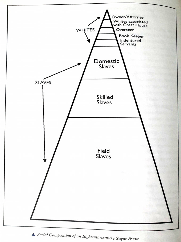 Plantation Social Hierarchy | PDF