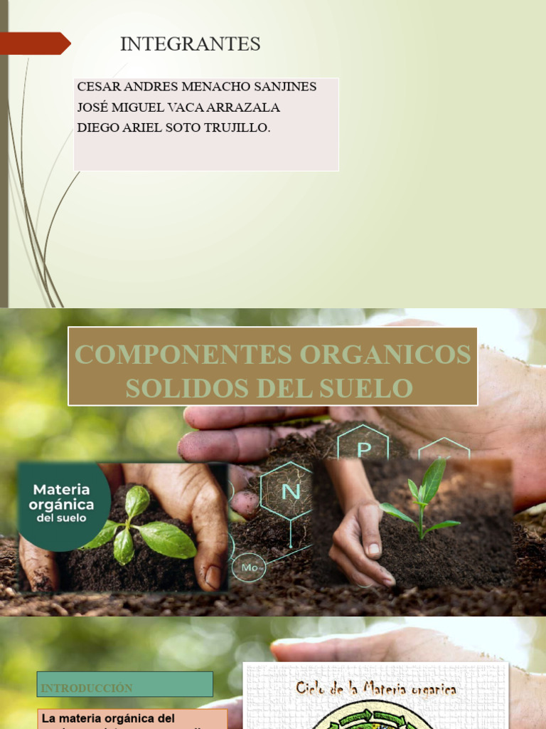 Componentes Orgánicos del Suelo | PDF | Nutrientes | Fertilizante