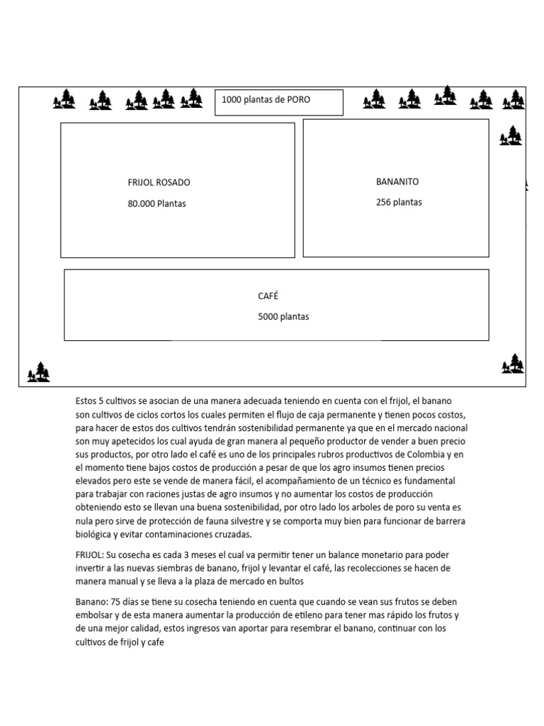 Punto 8 | PDF | café | Agricultura