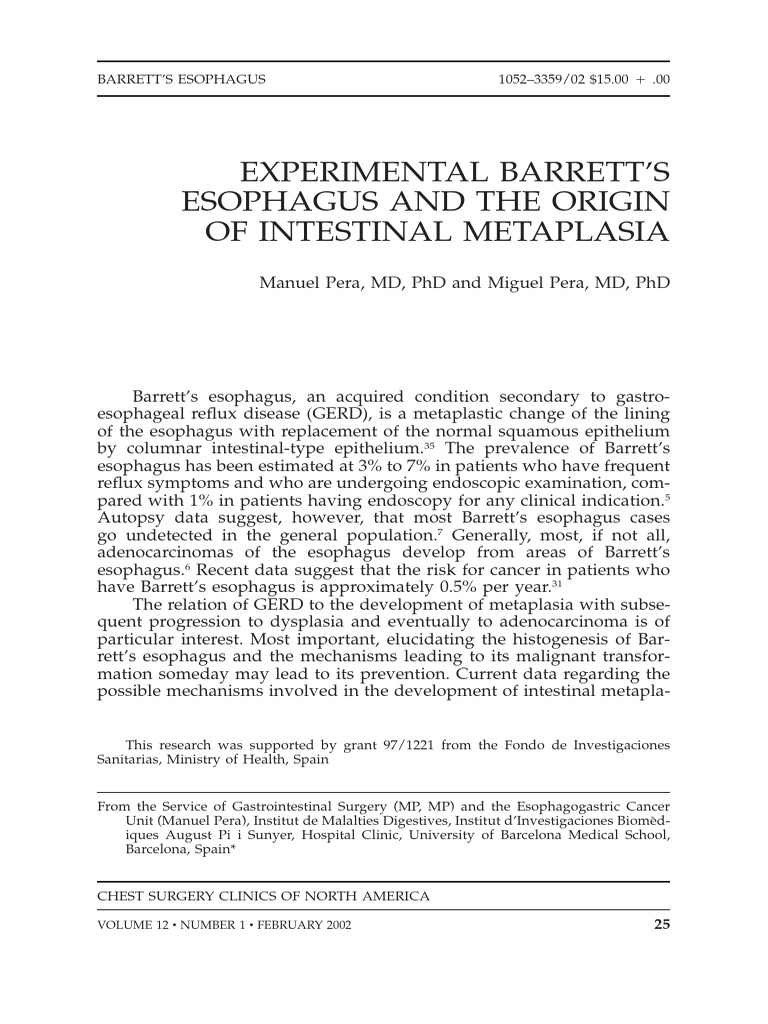 3) Esofago de Barrett Experimental | PDF | Esophagus | Epithelium