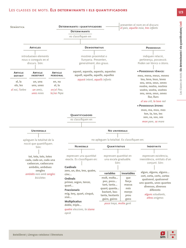 Els Determinants I Els Quantificadors Mapa Conceptual Pdf
