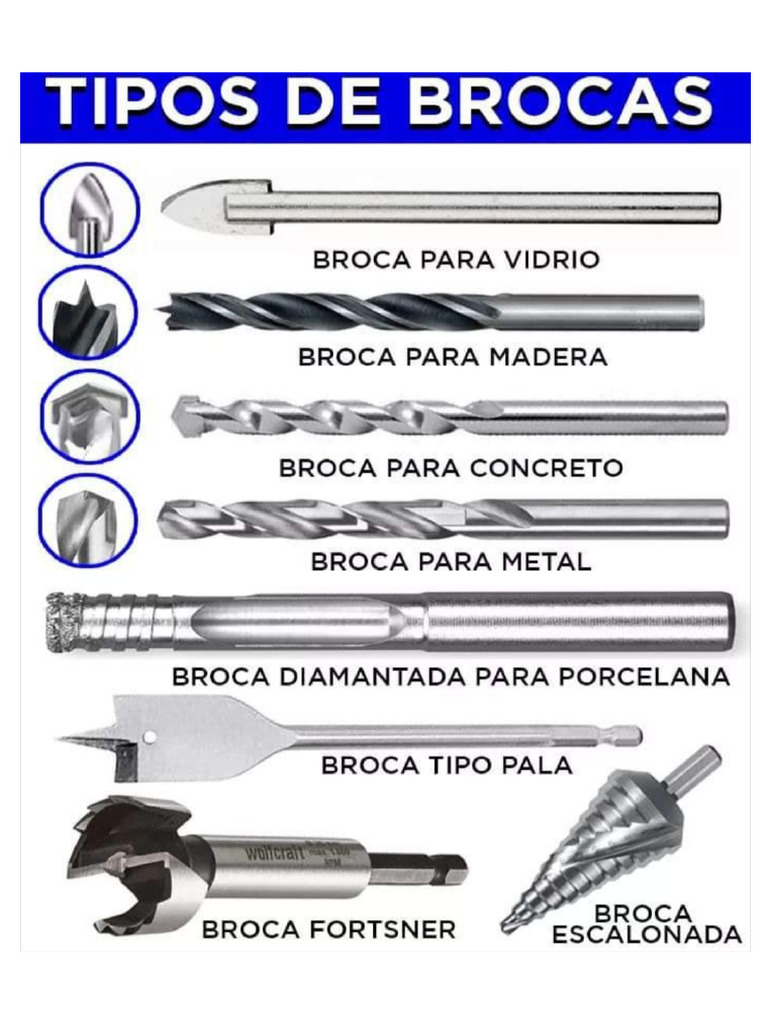 Broca | PDF