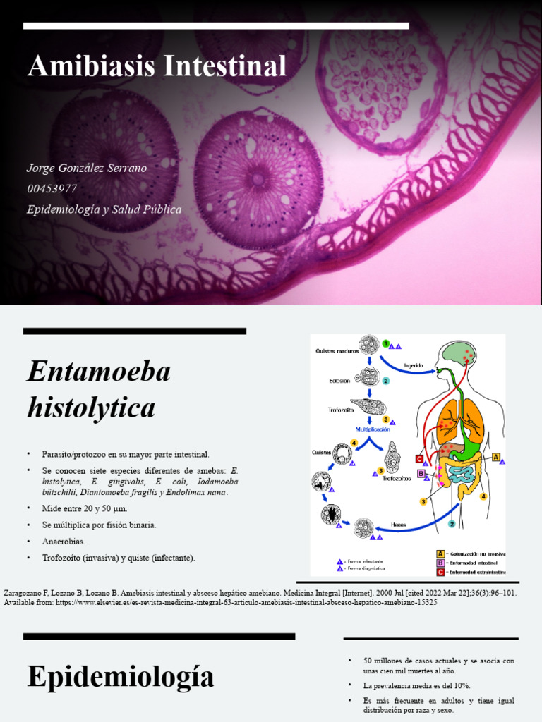 Amibiasis Intestinal | PDF | Especialidades Medicas | Medicina CLINICA