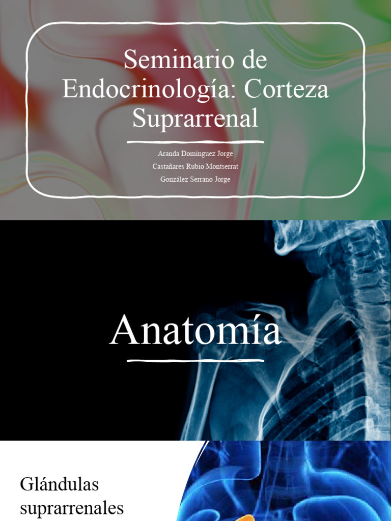 Corteza Suprarrenal | PDF | Hormona adrenocorticotrópica | Cortisol
