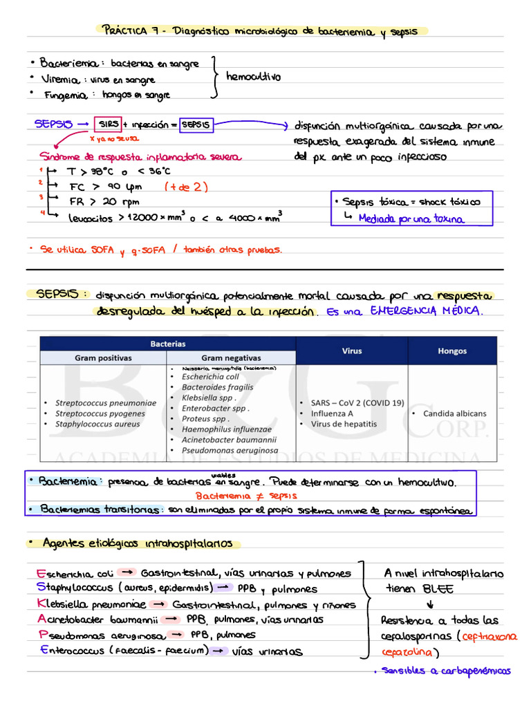 Nueva Nota 2024-02-20 16-37-32 2 | PDF