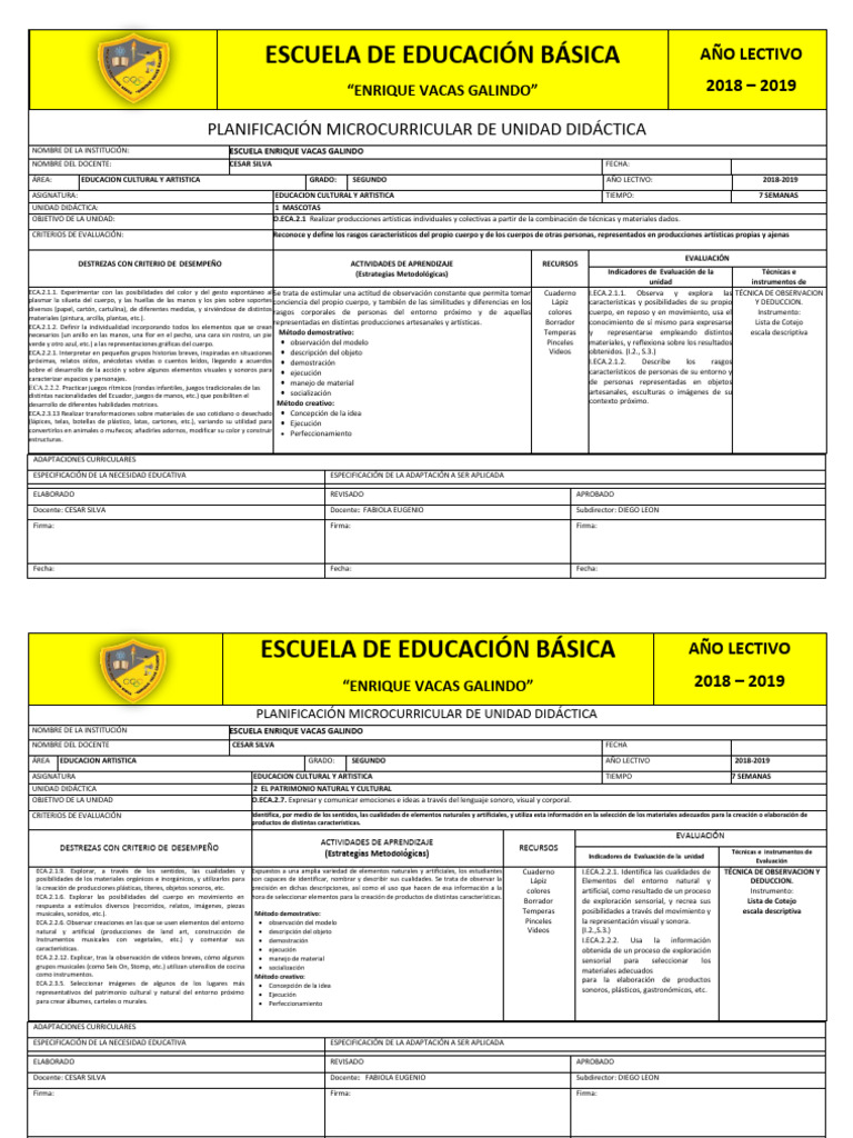 Plan de Unidad Didactica Segundo Eca | PDF | Evaluación | Aprendizaje