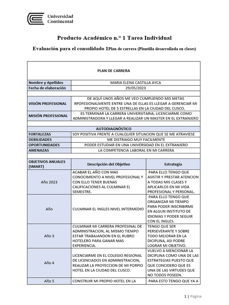 Plan de Carrera de Maria Elena Castilla | PDF | Análisis FODA | Business