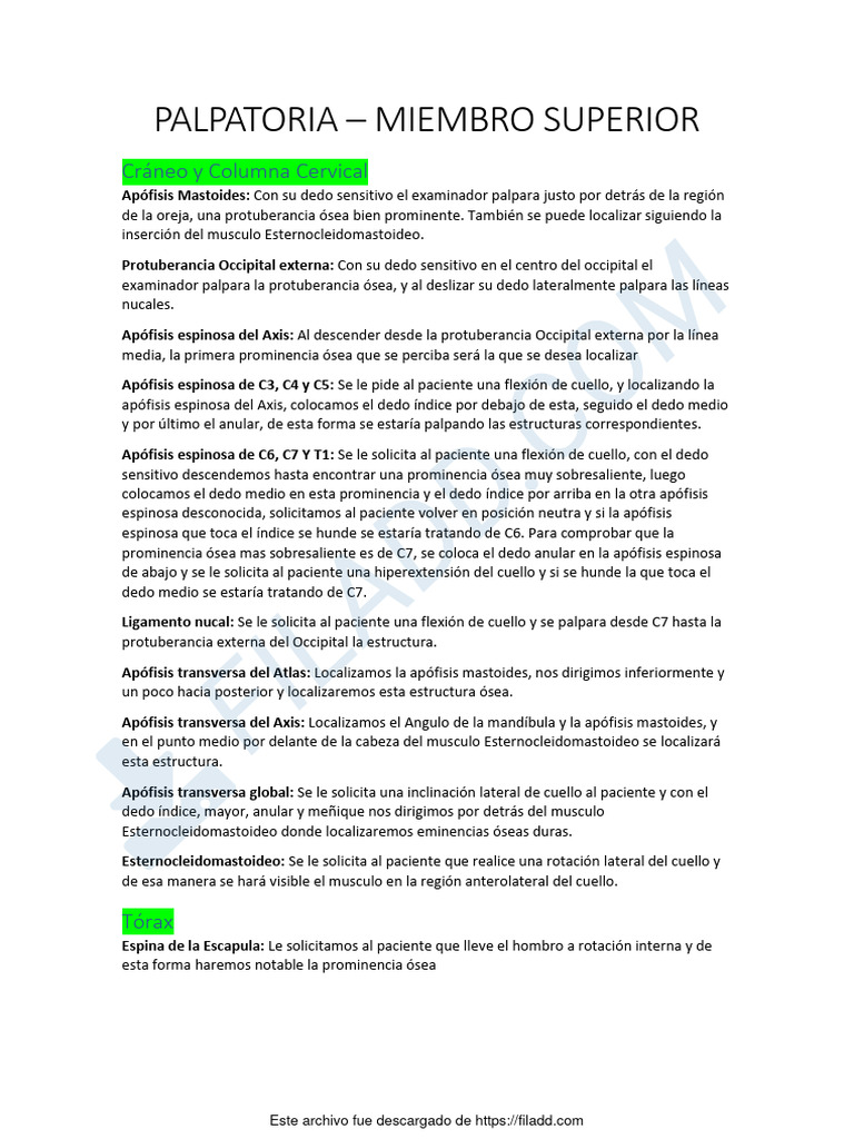 Resumen Palpatoria MMSS | PDF | Mano | Codo