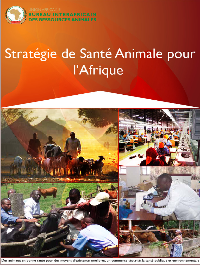 Stratégie de Santé Animale en Afrique 2035 | PDF | Afrique ...