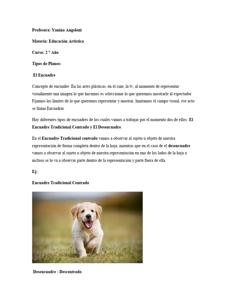 Tipos de Encuadre en Arte 2° Año | PDF | Hogar, jardinería y bricolaje