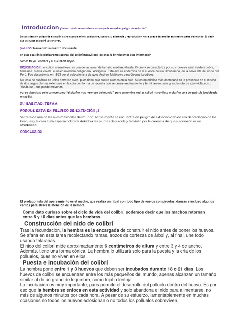 Colibri | PDF | Zoología | Ornitología