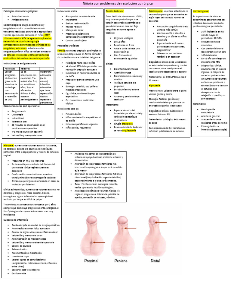 Resoluccion QX | PDF | Especialidades Medicas | Medicina CLINICA