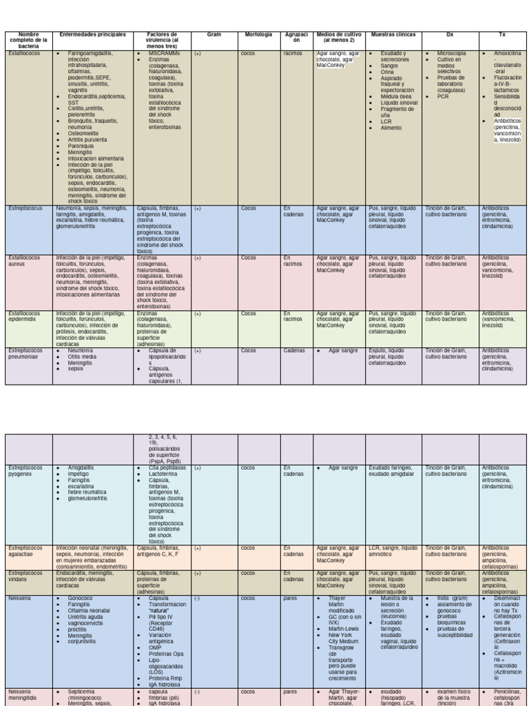 Bacterias Bacter | PDF | Estreptococo | Penicilina