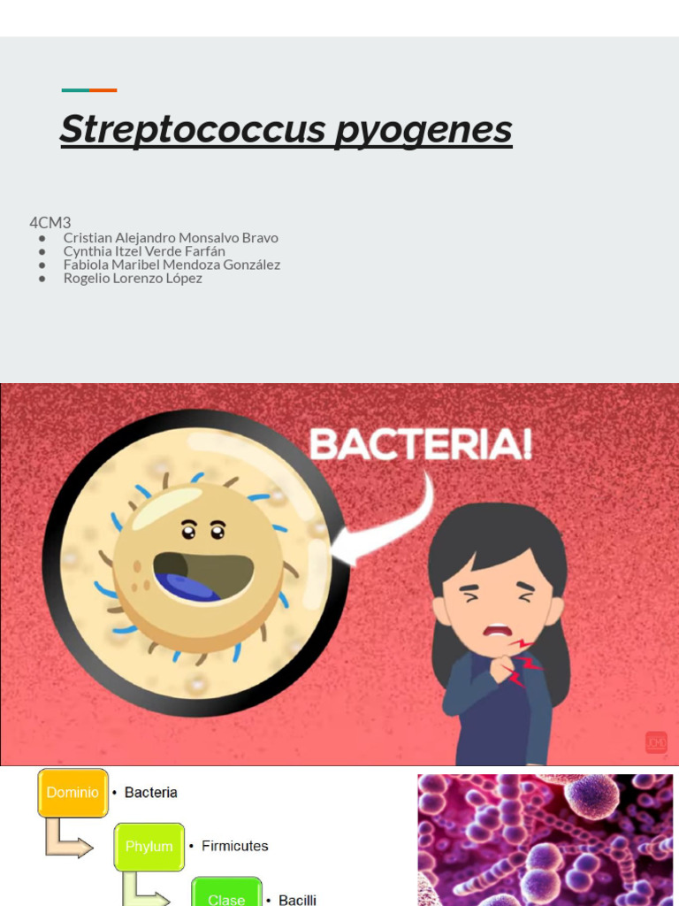 Streptococcus Pyogenes | PDF | Reacción en cadena de la polimerasa | Biología
