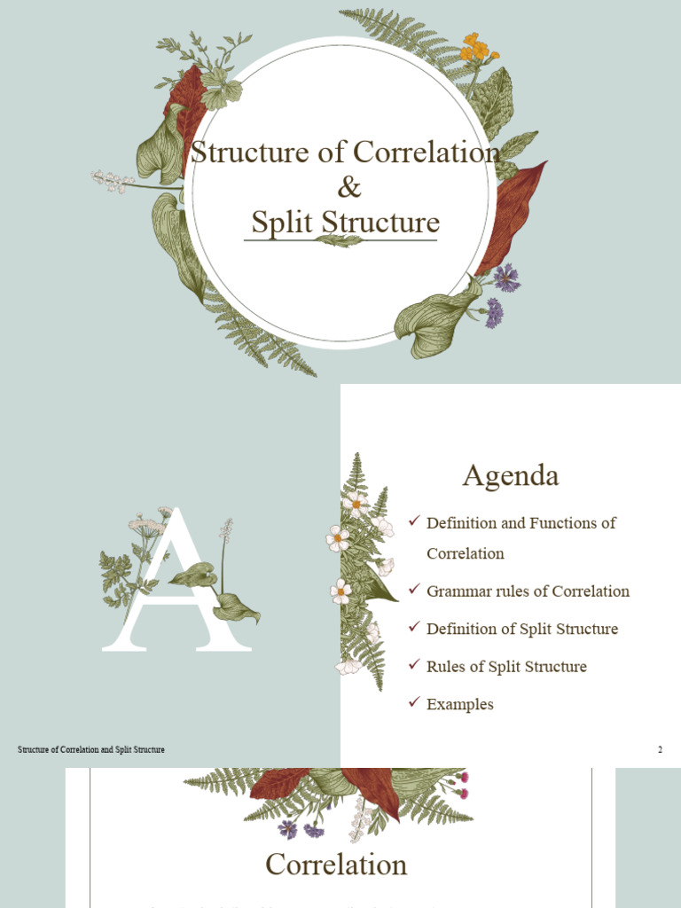 Correlation and Split Structure Explained | PDF | Grammatical Number ...