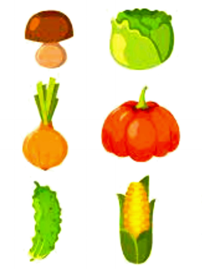 Veggies | PDF