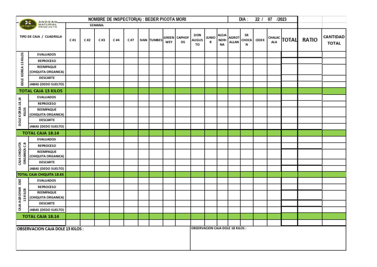 Cuadro Control para Imprimir | PDF