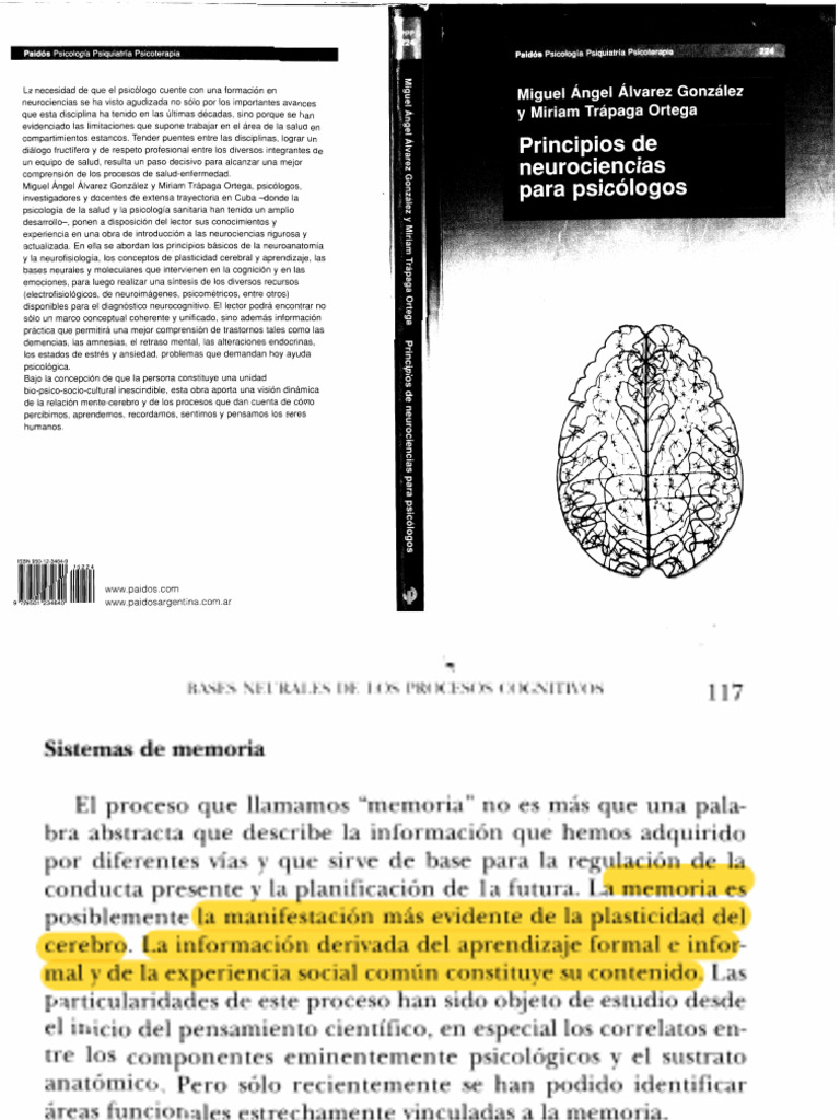 Principios de Neurociencias para Psicologos Sistemas de Memoria | PDF