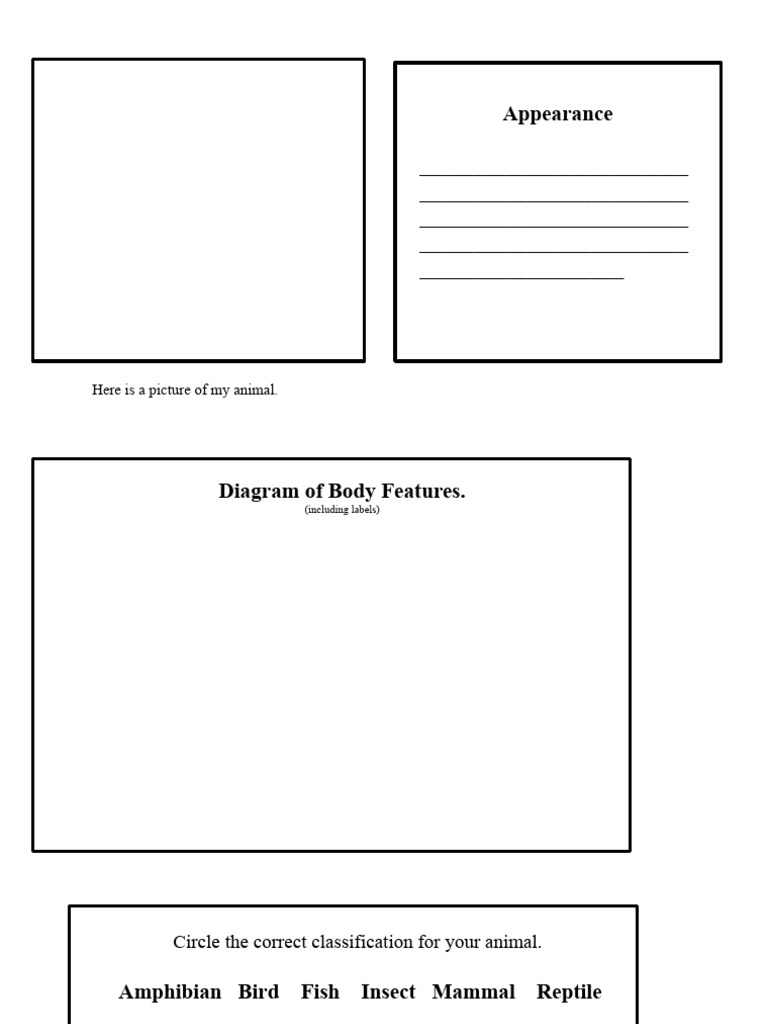 Animal Project - Grade 1 | PDF