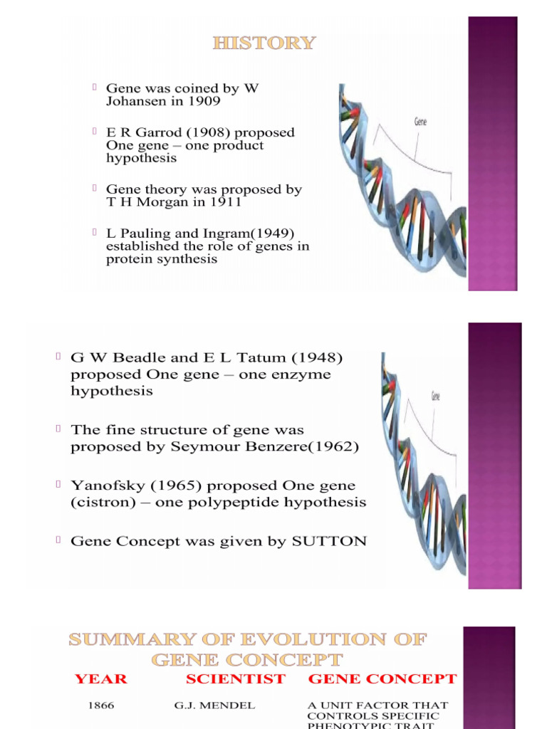 Gene | PDF