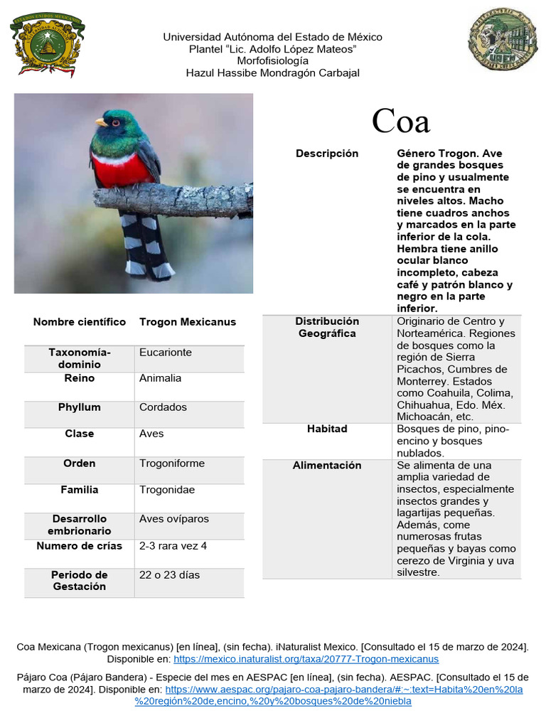 Fichas Taxonómicas | PDF | Ornitología | Aves