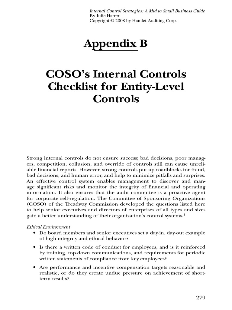 Internal Control Strategies | PDF | Internal Control | Internal Audit