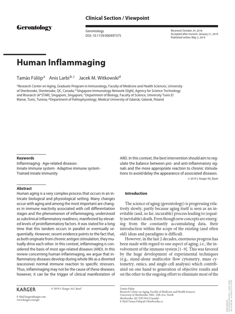 Human Inflammaging: Clinical Section / Viewpoint | PDF | Immune System ...