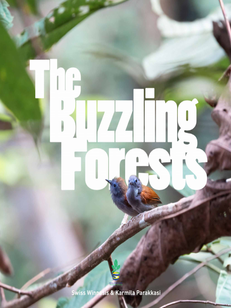 The Buzzling Forest Mid Res 1mar-JANGANDIHAPUS | PDF | Indonesia | Forests