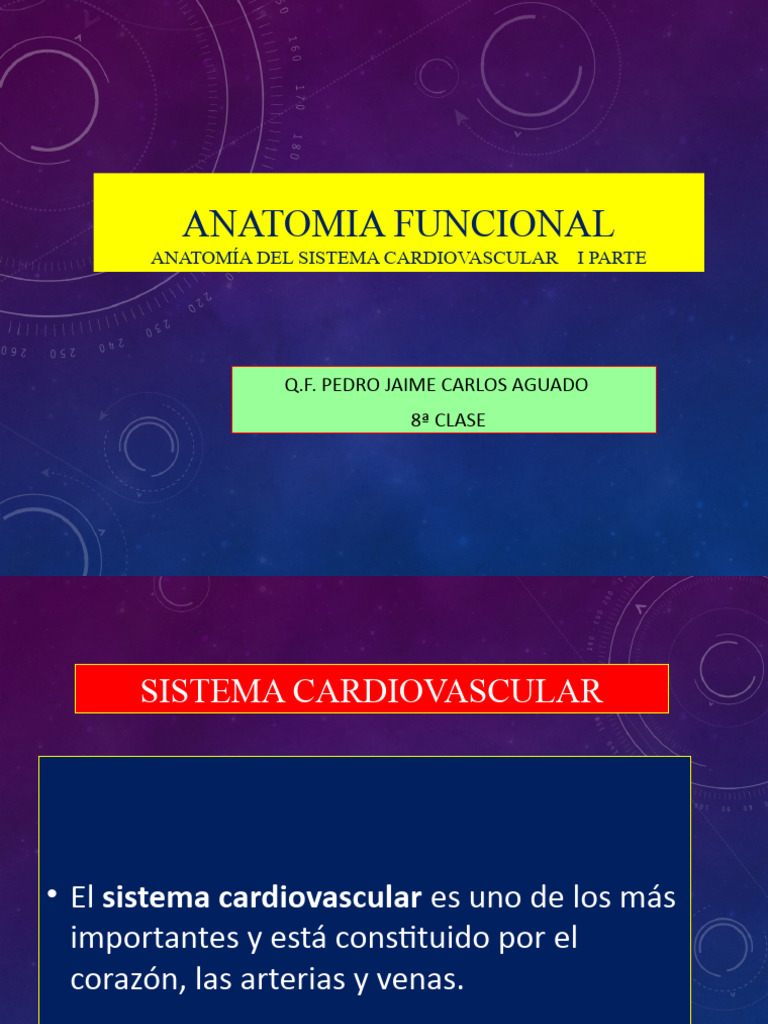 A. F. 8 Clase Anatomía Funcional | PDF | Sistema circulatorio | Corazón