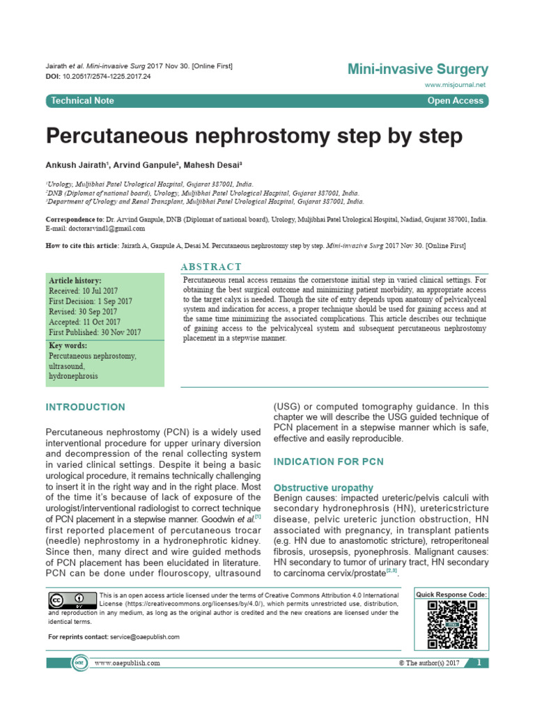 Step-by-Step Percutaneous Nephrostomy Guide | PDF | Medical Specialties ...