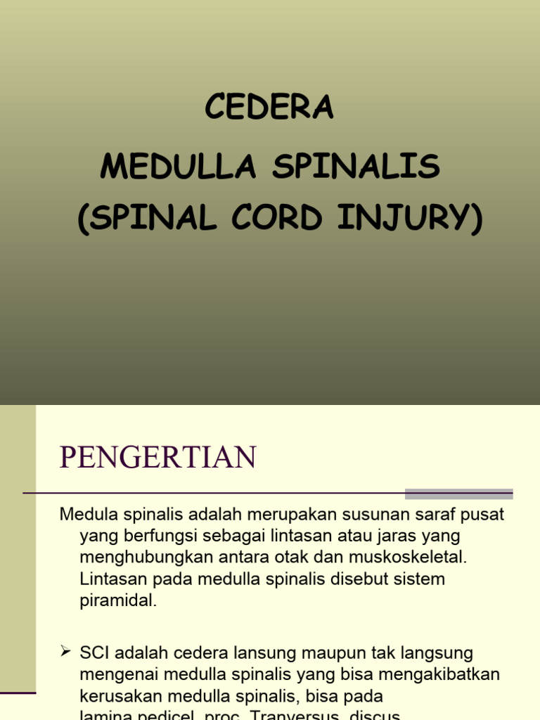 Cedera Medulla Spinalis (Spinal Cord Injury) | PDF