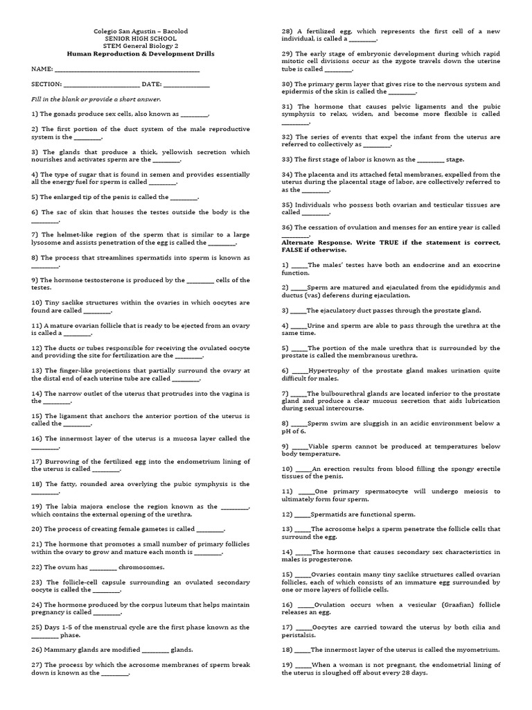 Bio 104 Human Reproductive System Drills | Download Free PDF | Ovary | Uterus