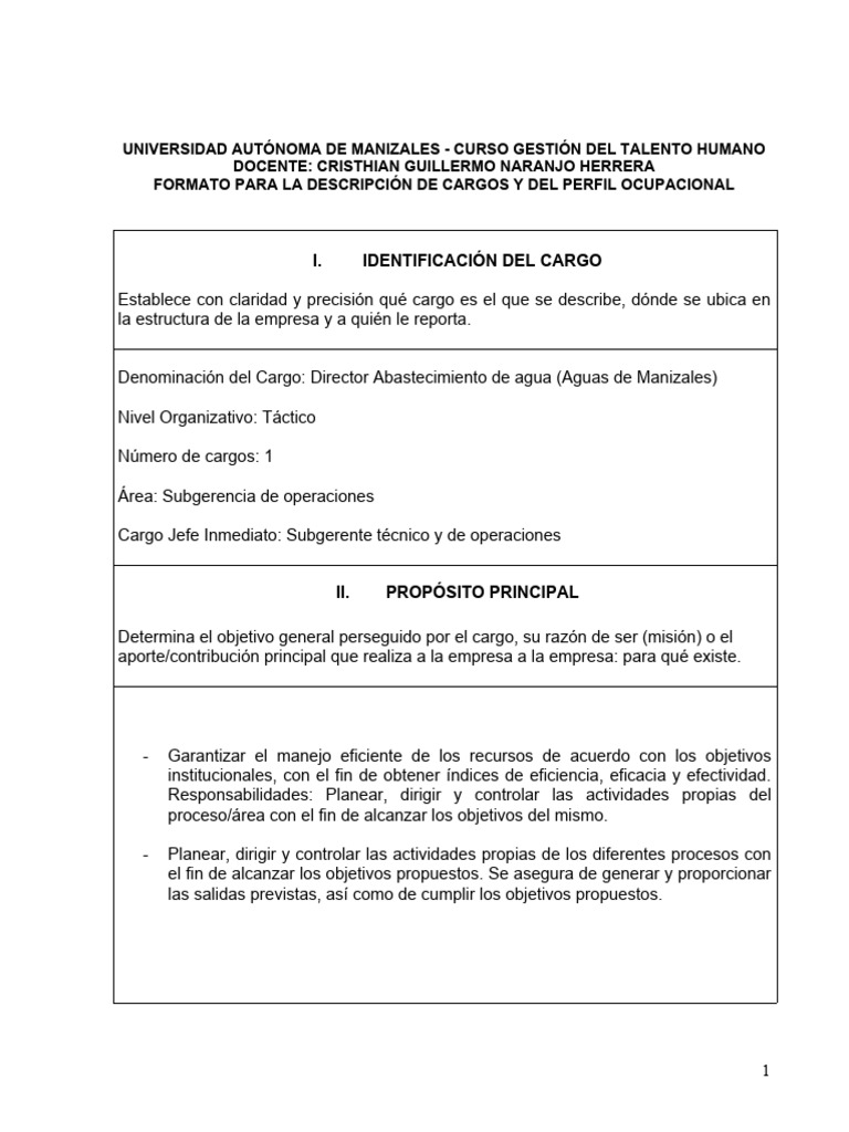 Formato Descripción de Cargo y Perfil | PDF | Business | Saneamiento