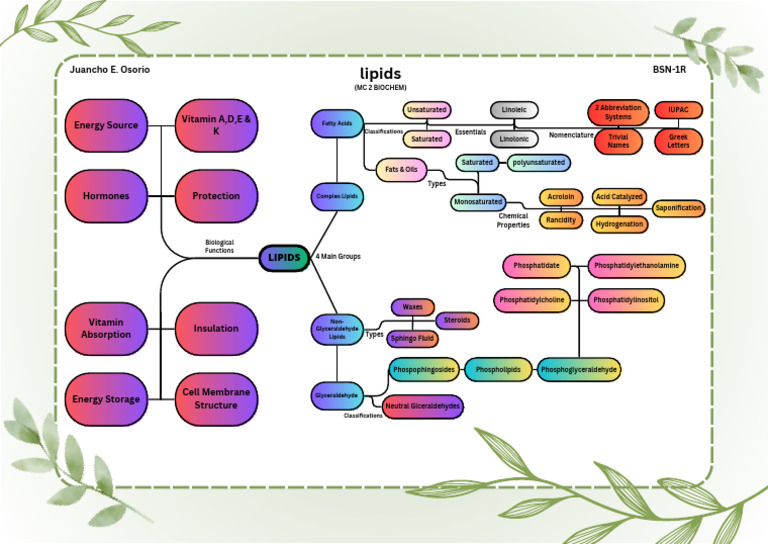 LIPIDS Graphic Organizer | PDF | Lipid | Fatty Acid