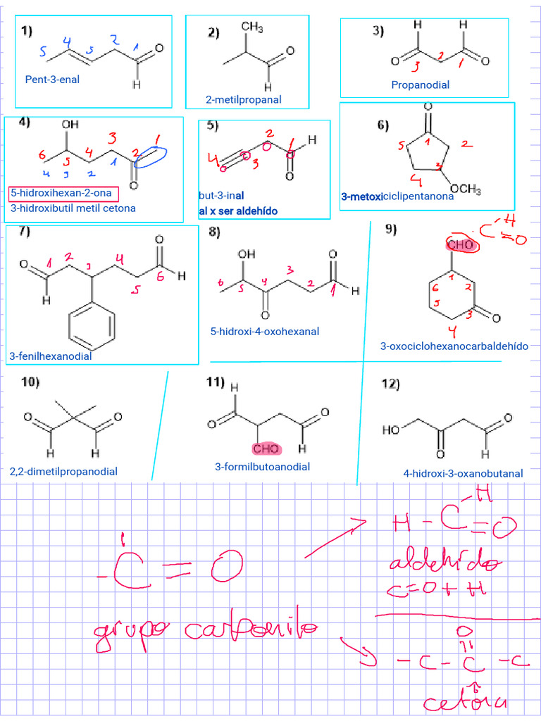Kami Export - Grid | PDF | Isómero | Amina