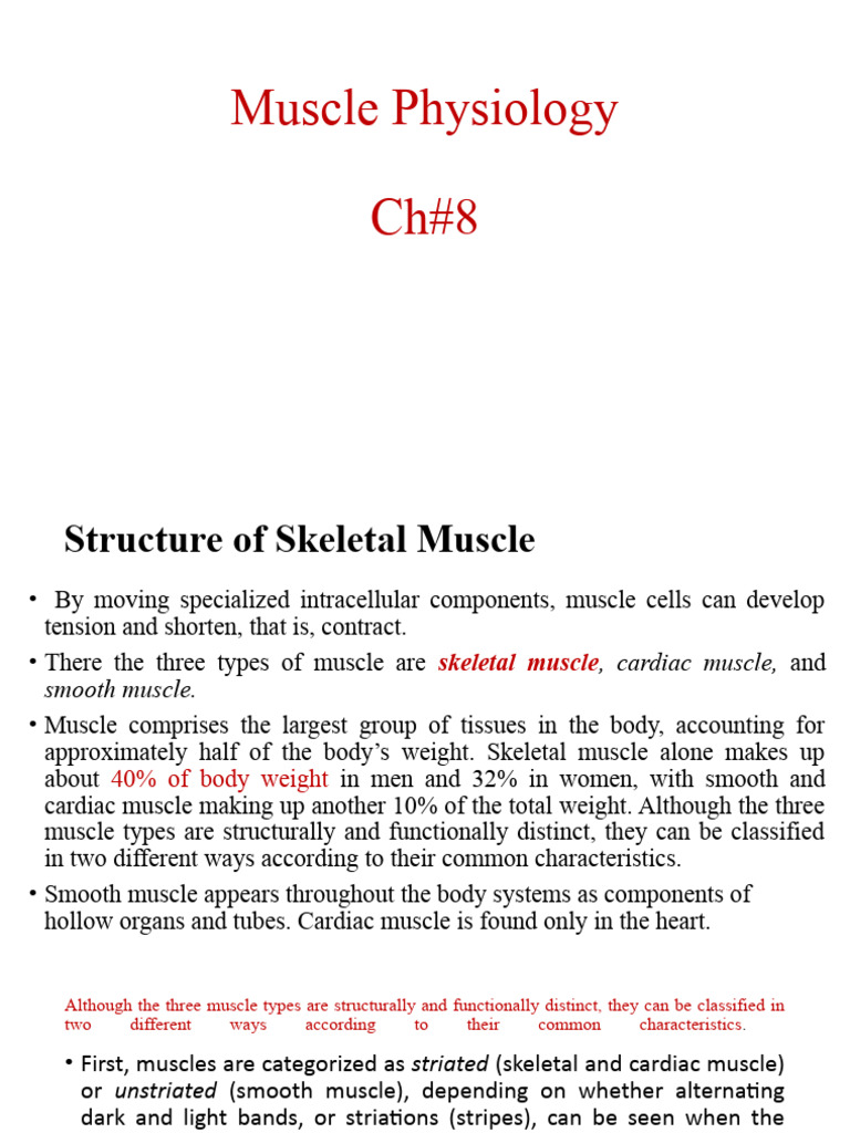 Muscle Physiology 2 | PDF | Actin | Muscle