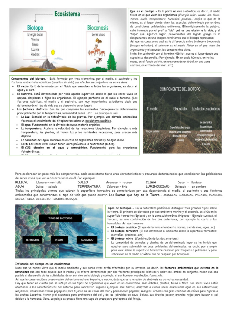 Clase 1 | PDF | Entorno natural | Ecosistema
